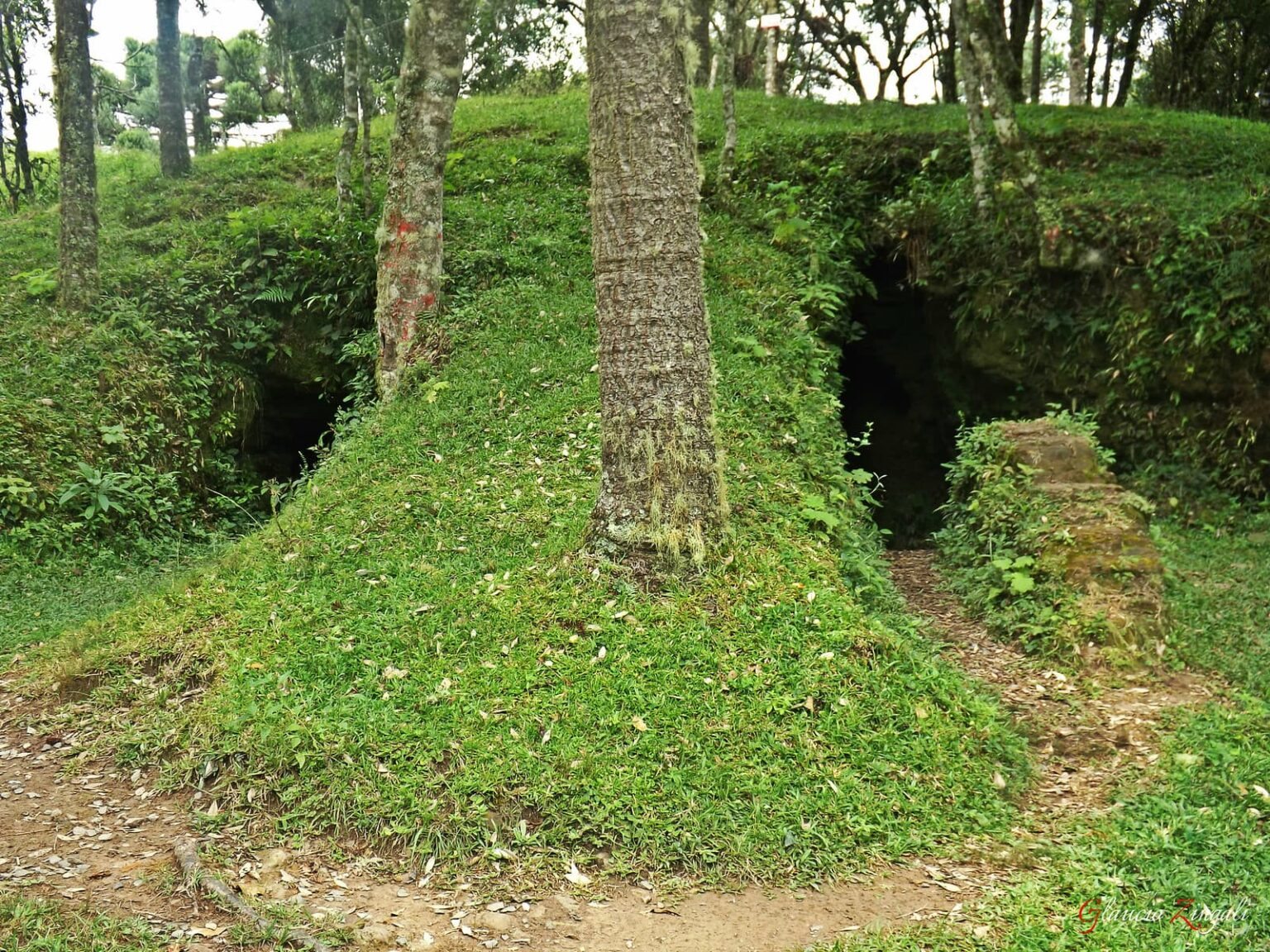 Caverna Rio dos Bugres em Urubici: Saiba Tudo Sobre o Local